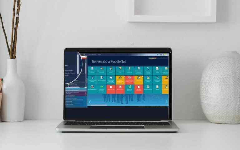 Meta4: qué es, características, opiniones y precio
