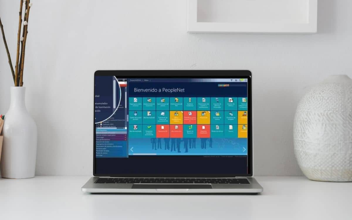 Meta4: qué es, características, opiniones y precio