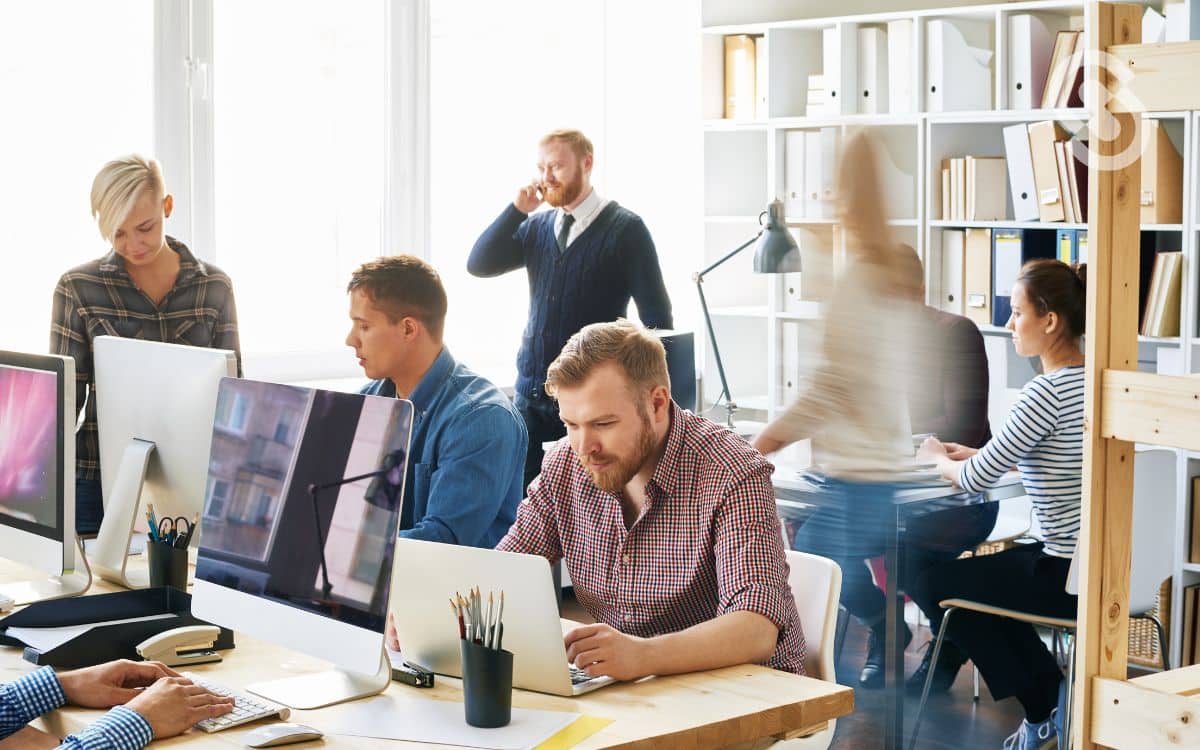 Meta4: qué es, características, opiniones y precio